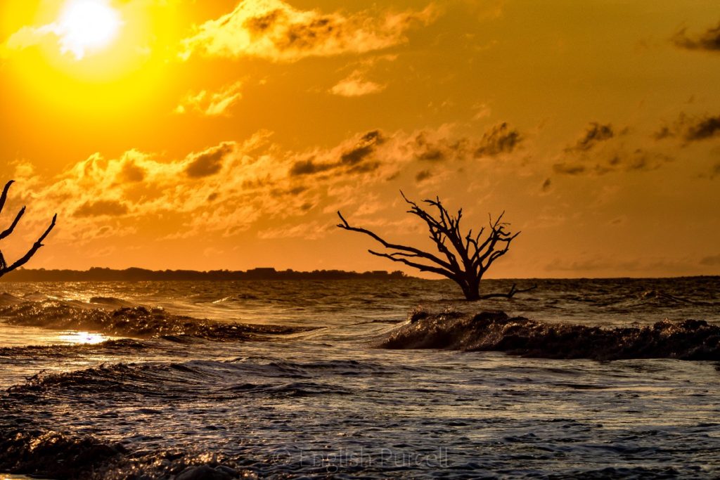 Charleston Currents – PHOTO ESSAY: Botany Bay is a Lowcountry treasure